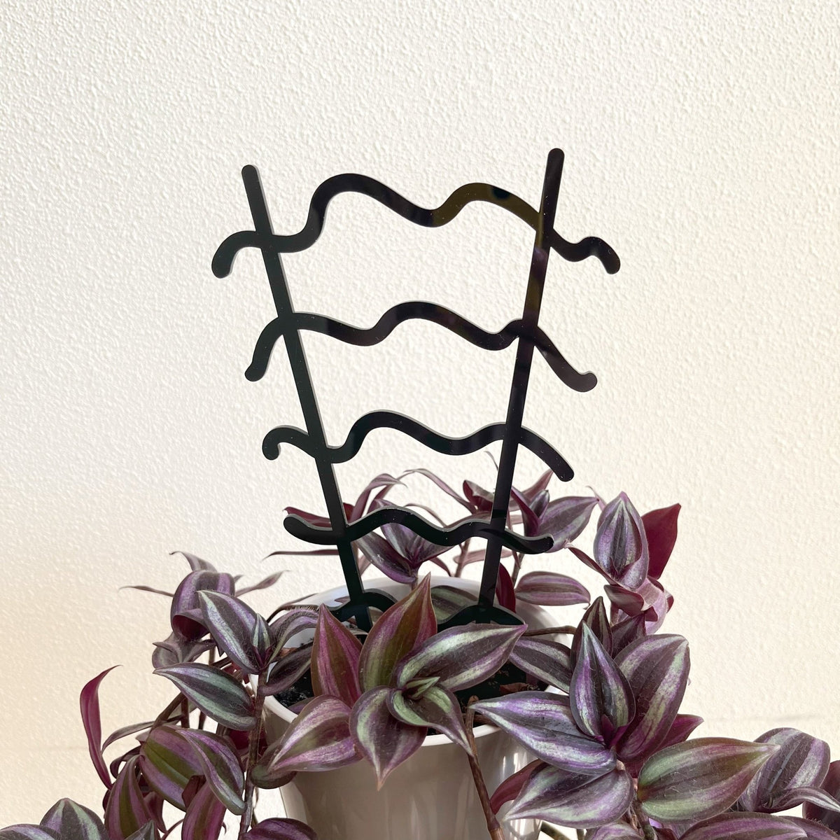 Wavy Houseplant Stake Trellis | Black